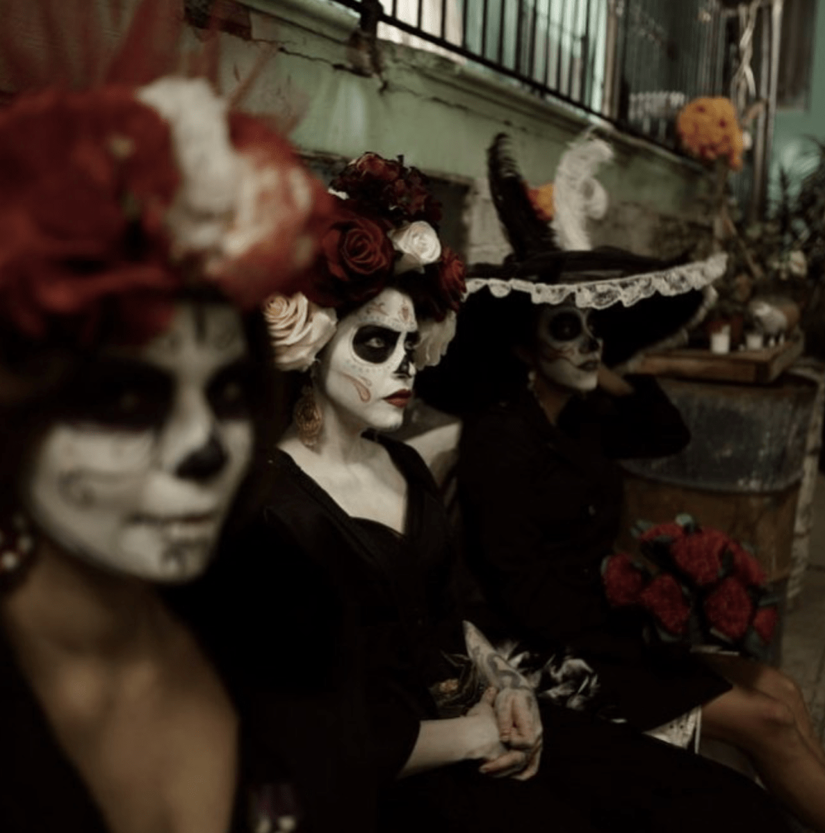 Todos los Santos – Alejandra Frade Rotlander aka Alex en la Selva